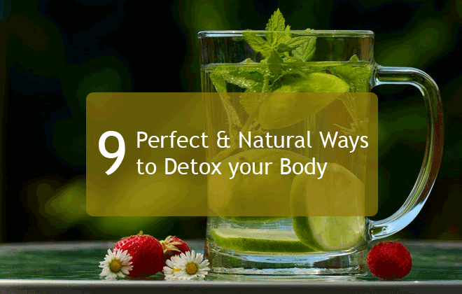 9 Perfect & Natural Ways to Detox your Body - All of the Basics You ...